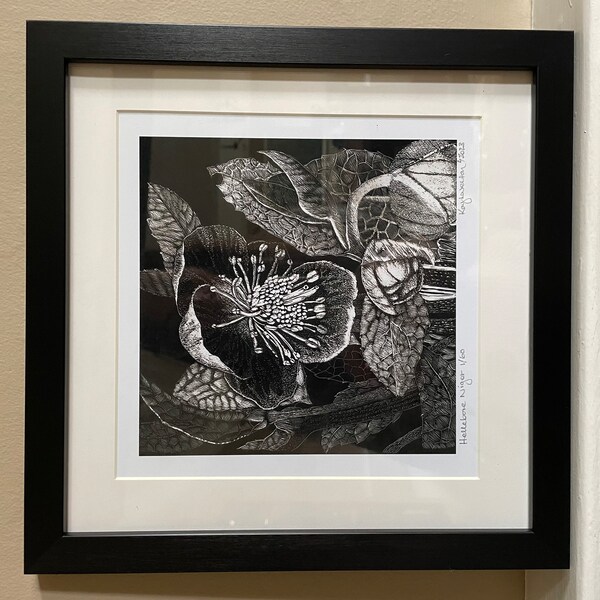 Art Card: Bees on Agapanthus Lily From Scraperboard Design - Etsy