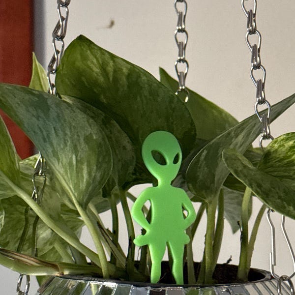 Cloud Shaped Rainbow Window Clings. Prism and Light Bending. Unique ...