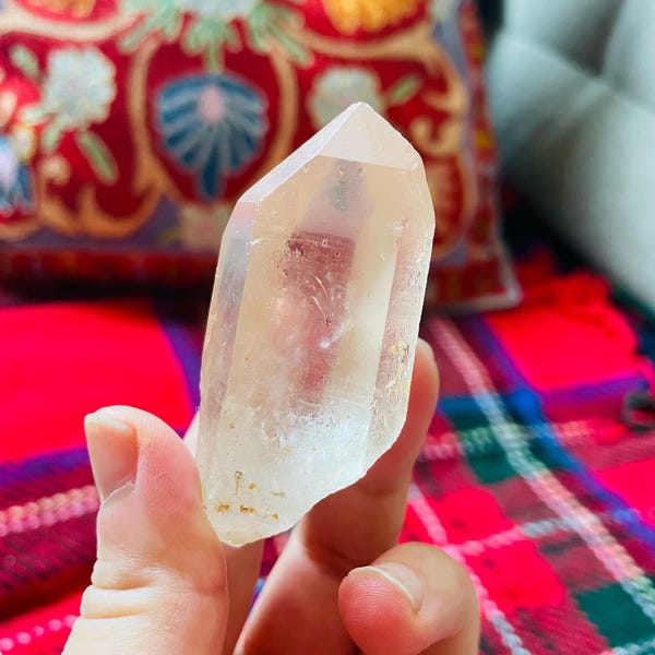 Shiva Shell Crystal AAA - Etsy