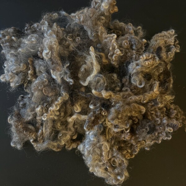Groovy | Cotswold Curly Lock Wool | Felting Wool | Doll Making Wool ...