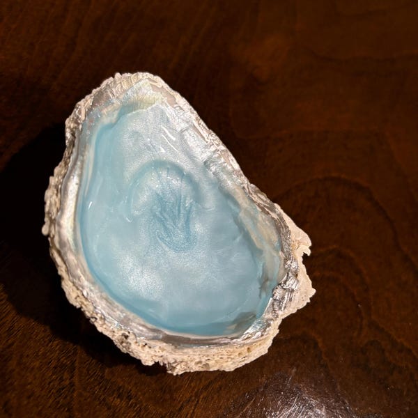 Oyster Shell Decoupage Kits - Etsy