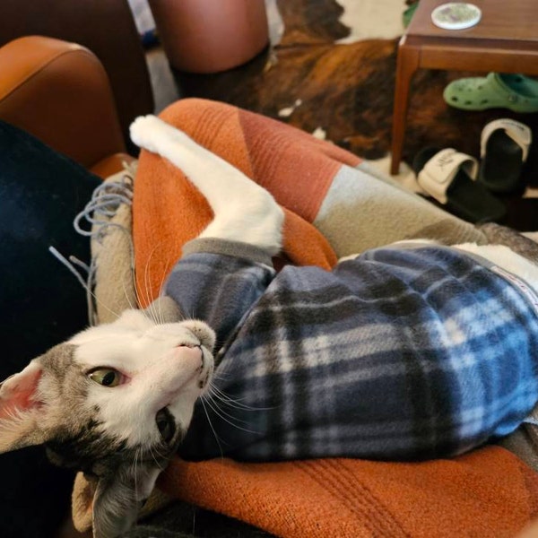 Snuggle Bed, Cat Sleep Sack, Sleeping Bag, Pet Sleeping Bag, Pet ...