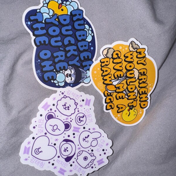 SKZ Bookshelf CLEAR Vinyl Stray Kids Merch, SKZOO Waterproof ...