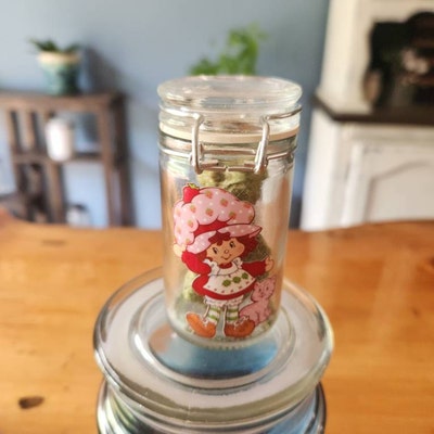 Stash Jar Lock Tight Lid Smell Proof Jar Glass Storage Herb Spice Ash ...