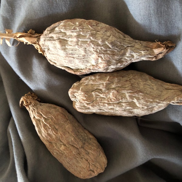 Prekese - Aidan Fruit - Tetrapleura Tetraptera Crushed 4oz - Etsy