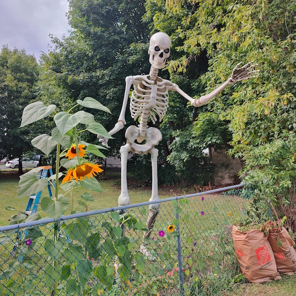 1 Set of TWO Skellbows, Customize Your 12 Foot Skeleton Poses for More ...