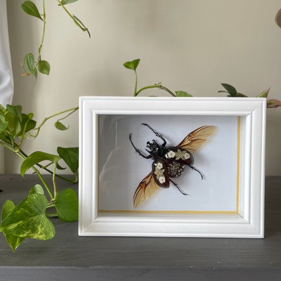 Mini Spooky Bug Frame, Jason Voorhees Beetle, Horror and Halloween ...