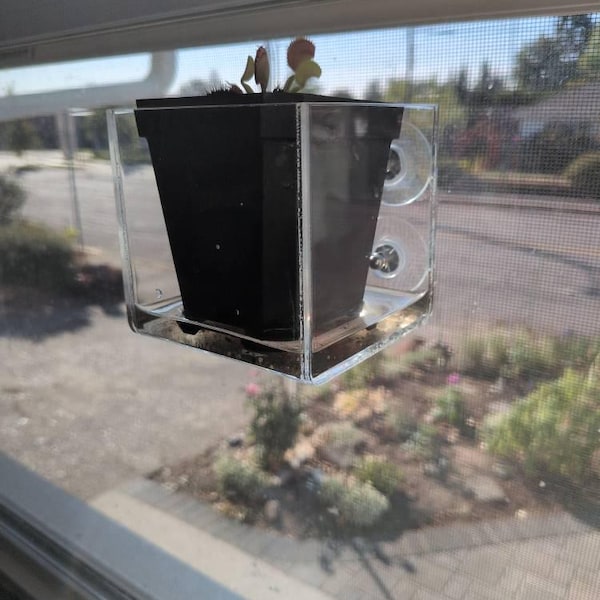 Suction Cup Window Planter - Long Triangular Window Box Style - 8" Long ...
