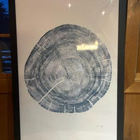 Old Ash Tree Ring Print, Tree Ring Wall Art, 24x36 Linocut Oversized ...