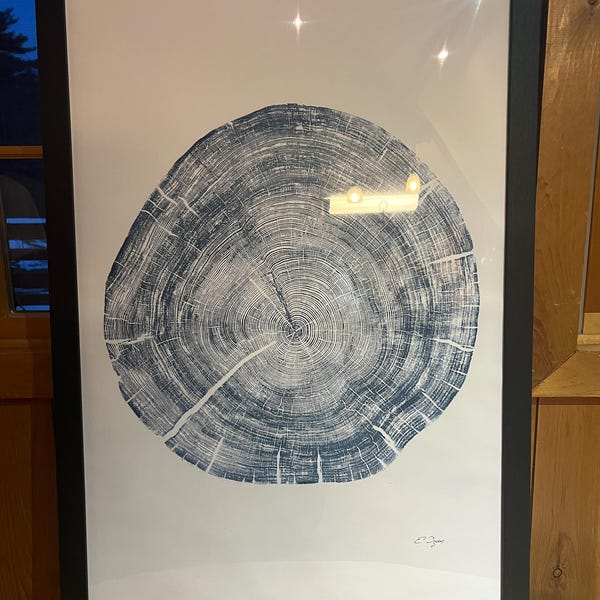 Old Ash Tree Ring Print, Tree Ring Wall Art, 24x36 Linocut Oversized ...