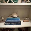 Modern Terracotta Books, Interior Decorator Books Set in Burnt Orange ...