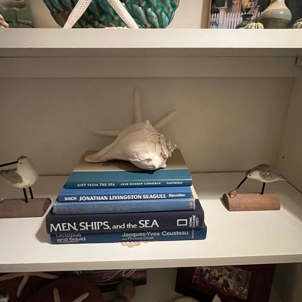 Modern Terracotta Books, Interior Decorator Books Set in Burnt Orange ...