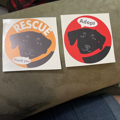 Custom White Lab Birthday Greeting Card - Etsy