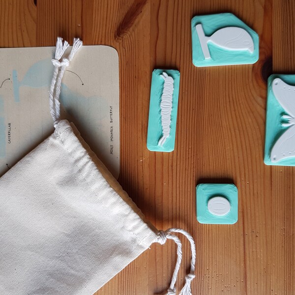 Anatomy of a Tree, Structure of Timber Stamp, Tree Rings, Montessori ...