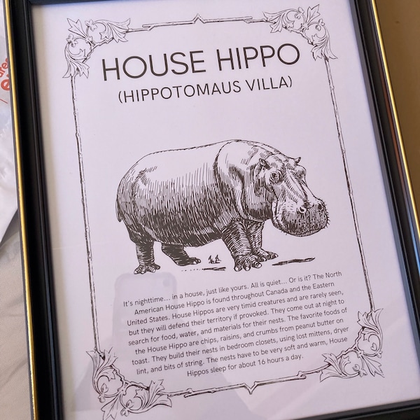 Quirky House Hippo Figurine - A Unique Gift for the Hippo Lover in Your ...