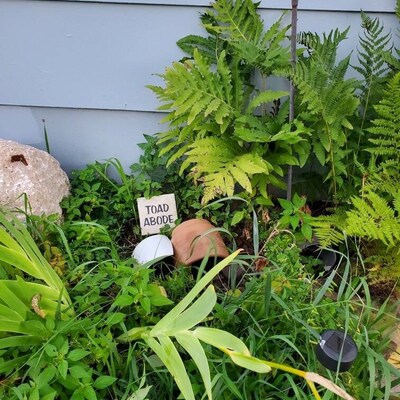 Toad Abode Funny Garden Sign Toad House Garden Sign Cute Gift for ...