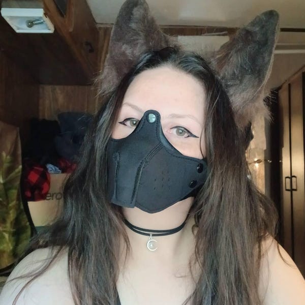 Huskies Ears and Tail Set, Shepherd Dog Ears Cosplay Set for ...