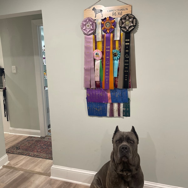 Personalized Dog Show Ribbon Holder: Engraved Wall Hanging Display - Etsy