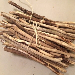 30 Driftwood Twigs Bulk Lot Thin Straight Maine Driftwood 8-12 or 12-18 ...
