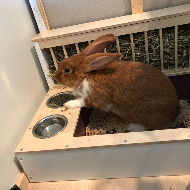 ScratchyThings (by Scratchy Things) - Etsy