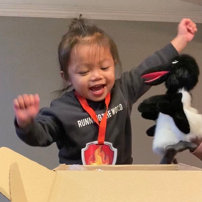 Magpie Puppet for Children. Plush Hand Puppet Magpie. Bibabo Toy. Glove ...