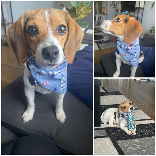 NEW! Lilo & Stitch ~ Dog Bandana ~ Disney Dog Bandana ~ Stitch Dog ...