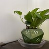 D20 Planter | Dnd Dice | 3D Printed | Hand-painted | Houseplants Pots ...
