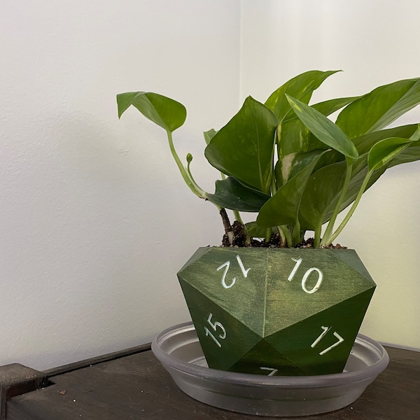 D20 Planter | Dnd Dice | 3D Printed | Hand-painted | Houseplants Pots ...