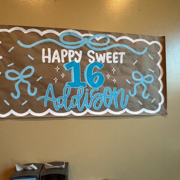 Custom Hand-painted Birthday Party Banner, Sweet 16, Coquette Bow ...