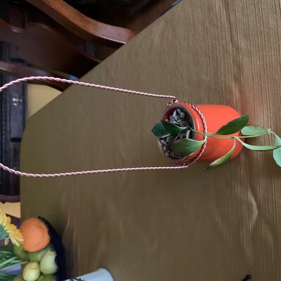 Twisted Copper Flamingo Hoop Trellis Hoya Trellis Circle Trellis ...