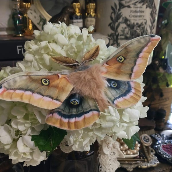 Flower Mantis Hair Claw Clips Spiny Flower or Umbrella Mantis! - Etsy