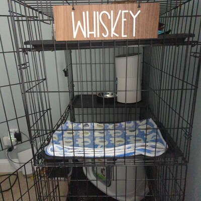 The Cat is Inside or Outside Reminder Sign Cat In/out Wooden Door ...