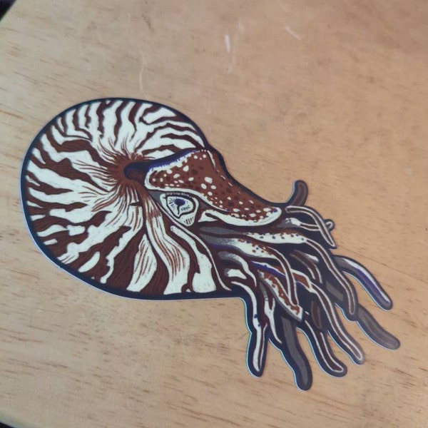 Garter Snake Sticker - Etsy