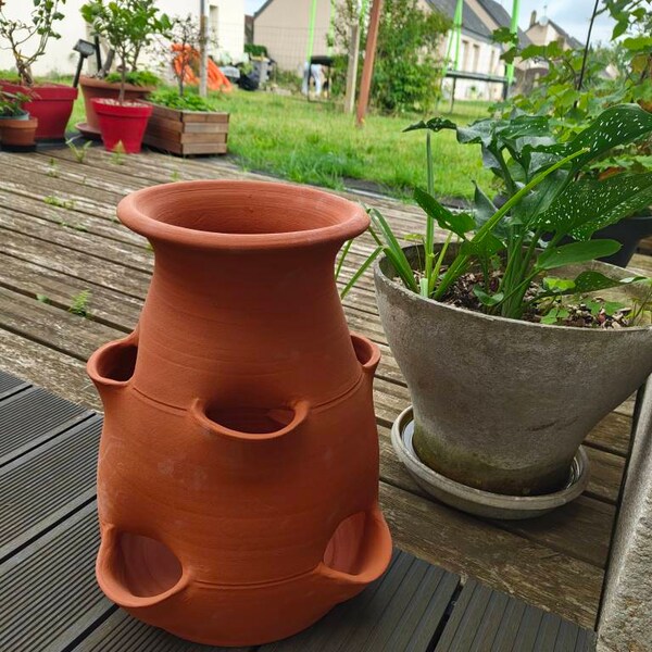 Set Of 6 Extra Mini Ollas For Floral Arrangements Etsy