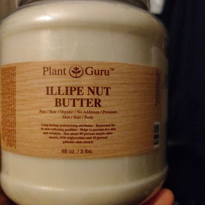 Illipe Nut Body Butter 100% Pure Raw Fresh Natural Cold Pressed. Skin ...