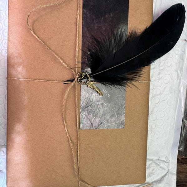 Running With Bonnie & Clyde, the Ten Fast Years of Ralph Fults by John ...