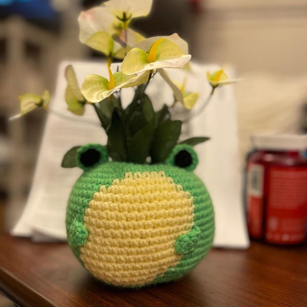 Froggy Duo Pots Crochet Patterns Bundle | Pink Frog Pot Pattern, Green ...