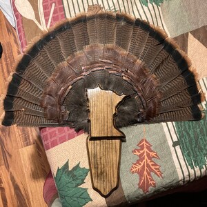 State Shaped Grouse and Pheasant Fan Mount Plaques | Etsy