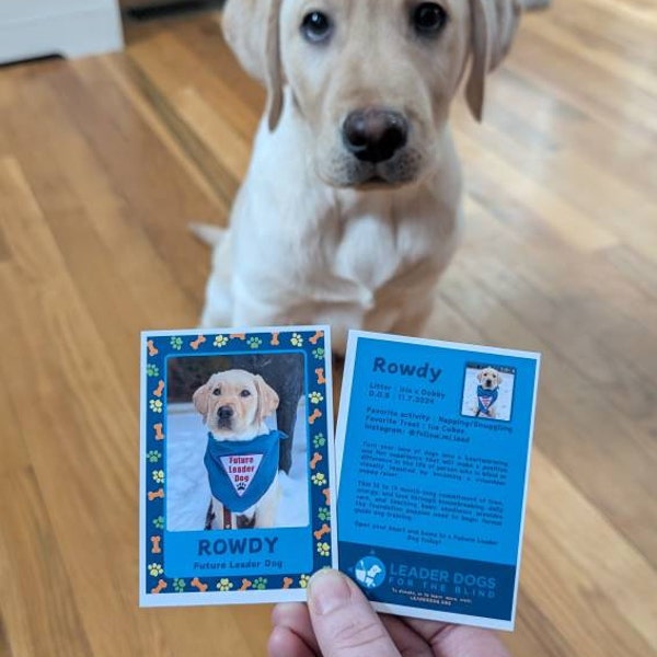 Design Your Own Custom Dog Trading Cards – Fully Editable Canva ...