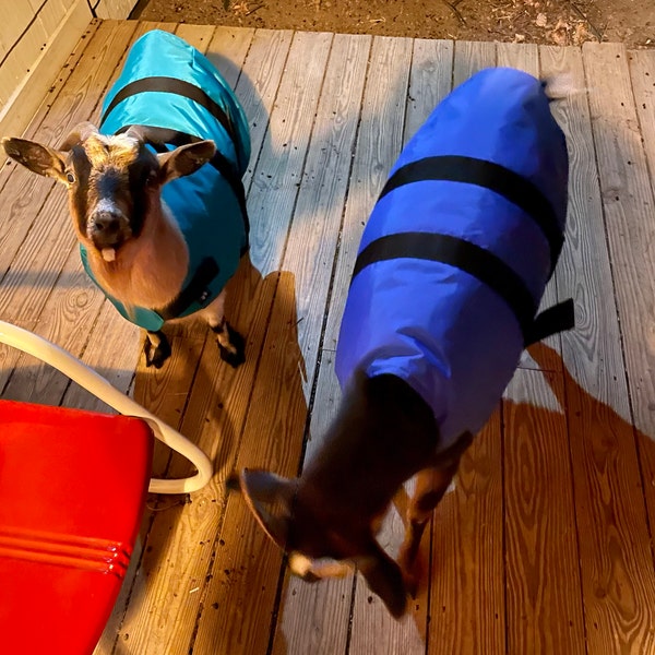 Insulated Goat Coat 24" Topline - Perfect for Pygmies - Etsy