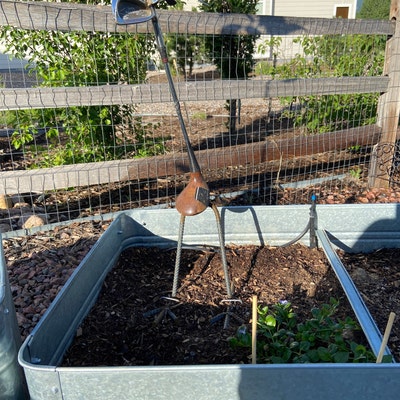 Wrench Saw Lizard Garden Recycled Art - Etsy