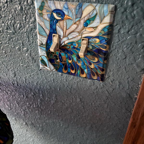 Metal Light Switch Cover | Light Switch Plate, Outlet Cover, Wall Plate ...