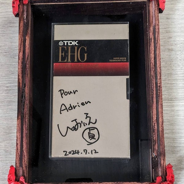 Custom Jurassic Park VHS Shadow Box With Color Design Motif. Sturdy. - Etsy