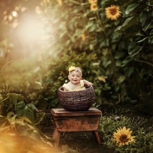 Digital Background Leafy Path - Etsy