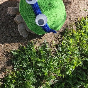 Basketball Crochet Costume for Turtles/ Tortoises - Etsy