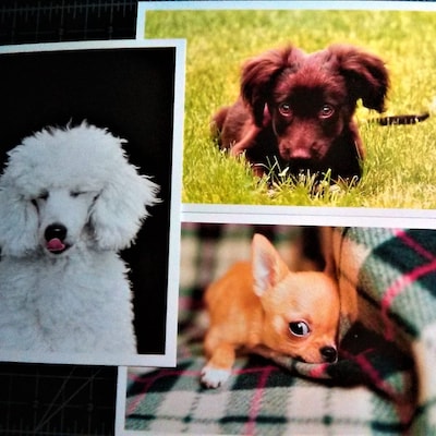 Natural Wonders Postcard Set2 Set of 20 Postcards Vintage Nature ...