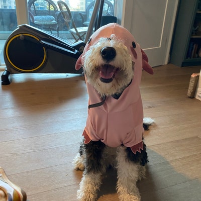 Pink Cotton Axolotl Salamander Face Mask - Etsy