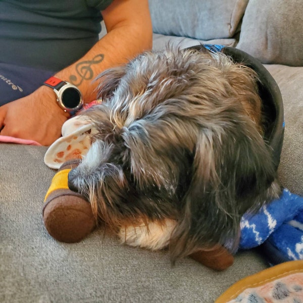 Squeaky Gavel Dog Toy - Etsy