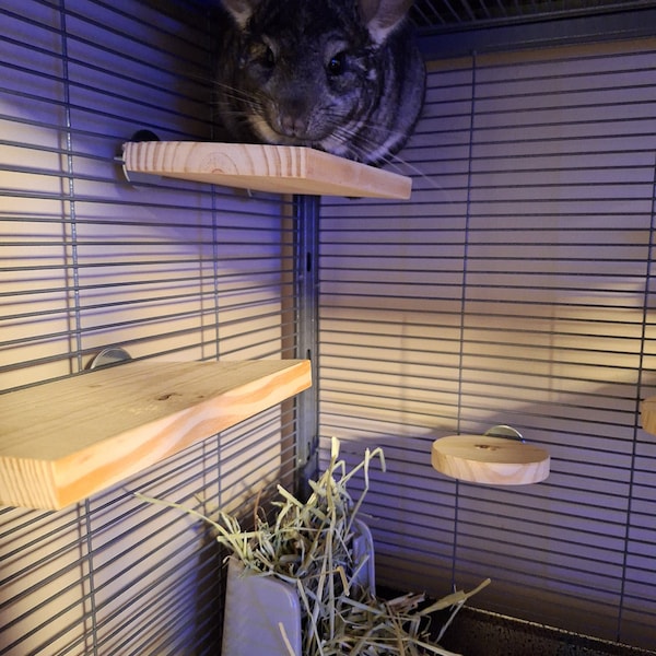 Crazy Critter 11 Pc Kiln Dried Pine Chinchilla//rat//degu//squirrel ...