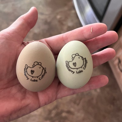 Large Logo Stamp Custom Packaging Stamp Custom Stamper Logo Business ...